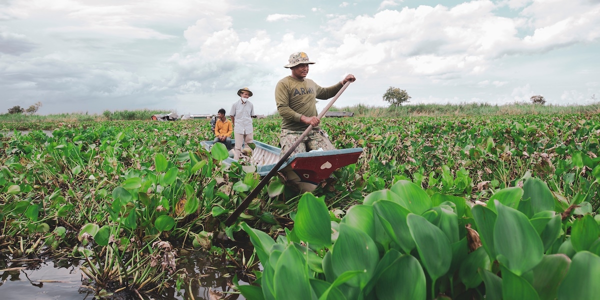 【MAWSIM】MAWSIM GIN：熱帯のフレッシュなスパイス＆ハーブ仕立て！ バッチごとの違いを楽しむクラフトジン。 ＜後編 ...