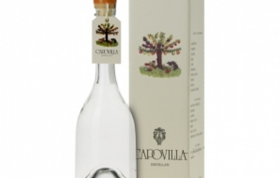 Moonlight Lychee Blossom/ムーンライト・ライチ・ブロッサム(Conor Hadlington／コーナー・ハドリントン ...